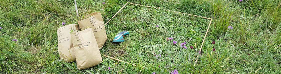 Video: The Art of Hay Sampling – Inklusive Nature CIC