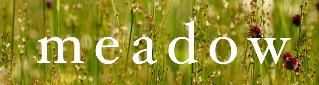 Book review: Meadow, the intimate bond between people, place and plants ...